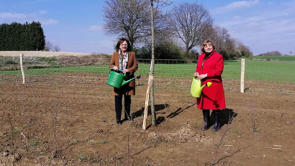 Video: Waterschap Limburg rondt eerste fase vergroten waterbuffers ...