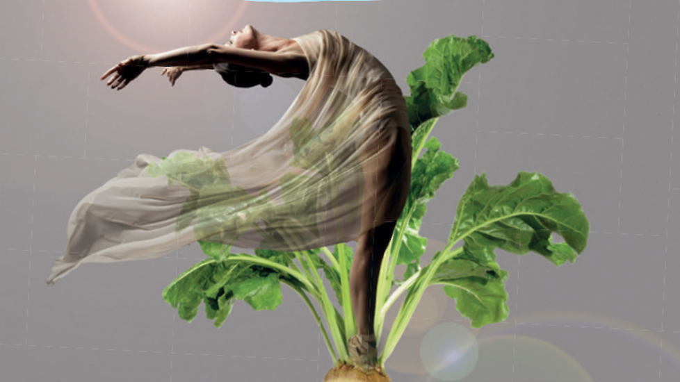 UPL › Video: Effectief bestrijden van Cercospora in bieten ...