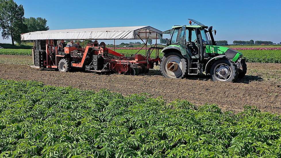 Video: Mooie vroege aardappelen rooien op Tholen | Akkerwijzer.nl ...